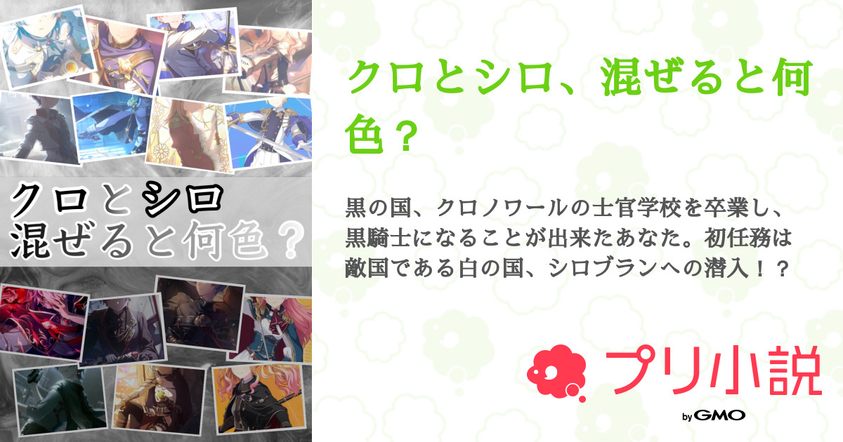 第34話：Episode:33（クロとシロ、混ぜると何色？）｜無料スマホ夢小説ならプリ小説 byGMO